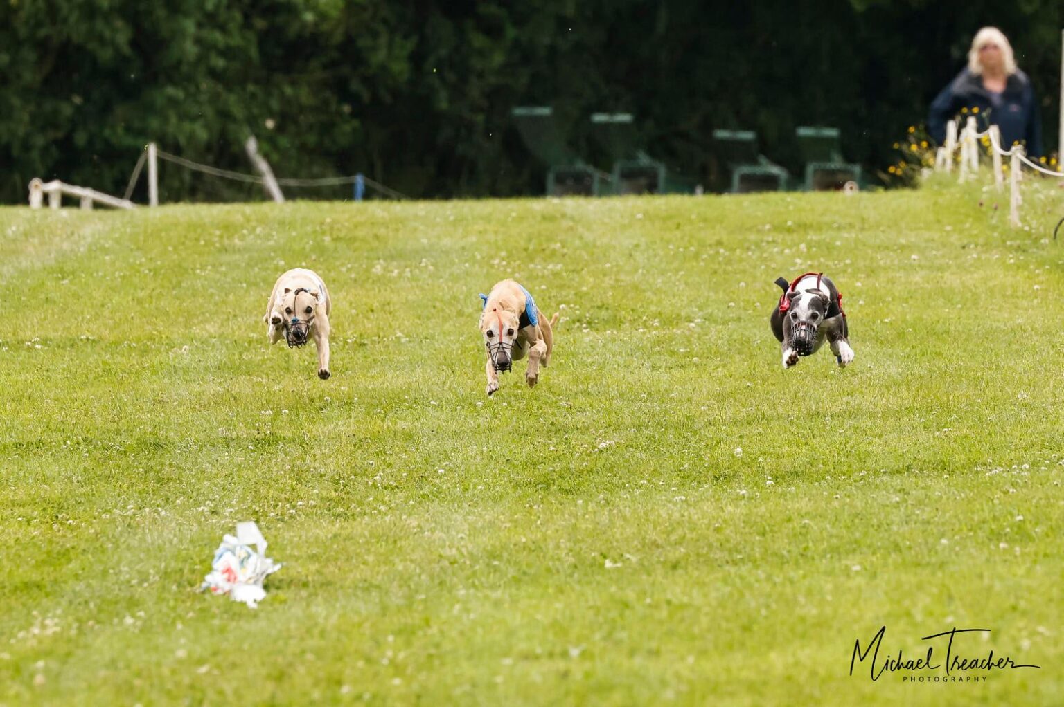 The North West Championships - The Whippet Club