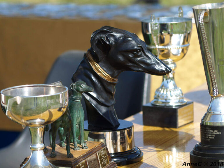The Whippet Club - The oldest whippet breed club in the world