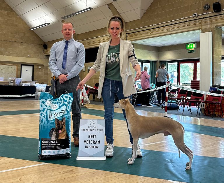 The Whippet Club - The oldest whippet breed club in the world