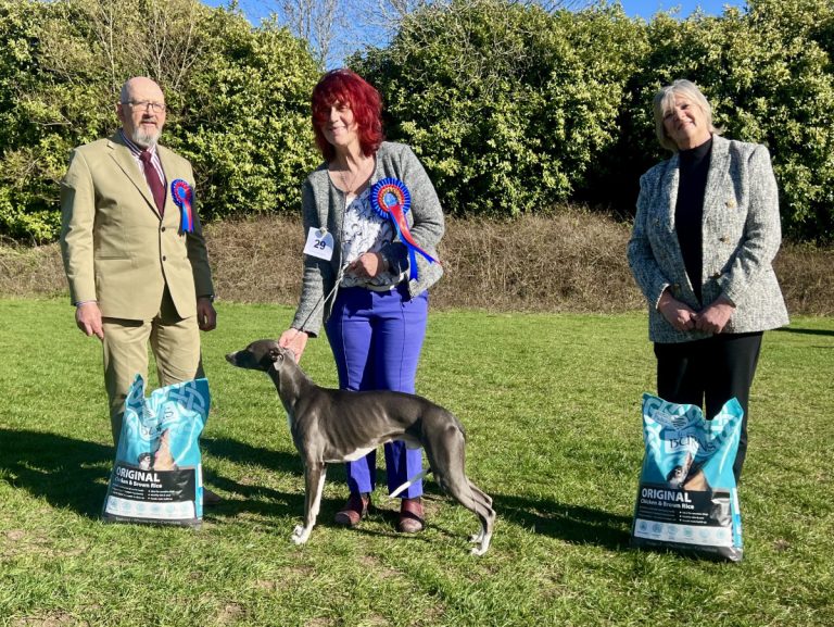 The Whippet Club - The oldest whippet breed club in the world