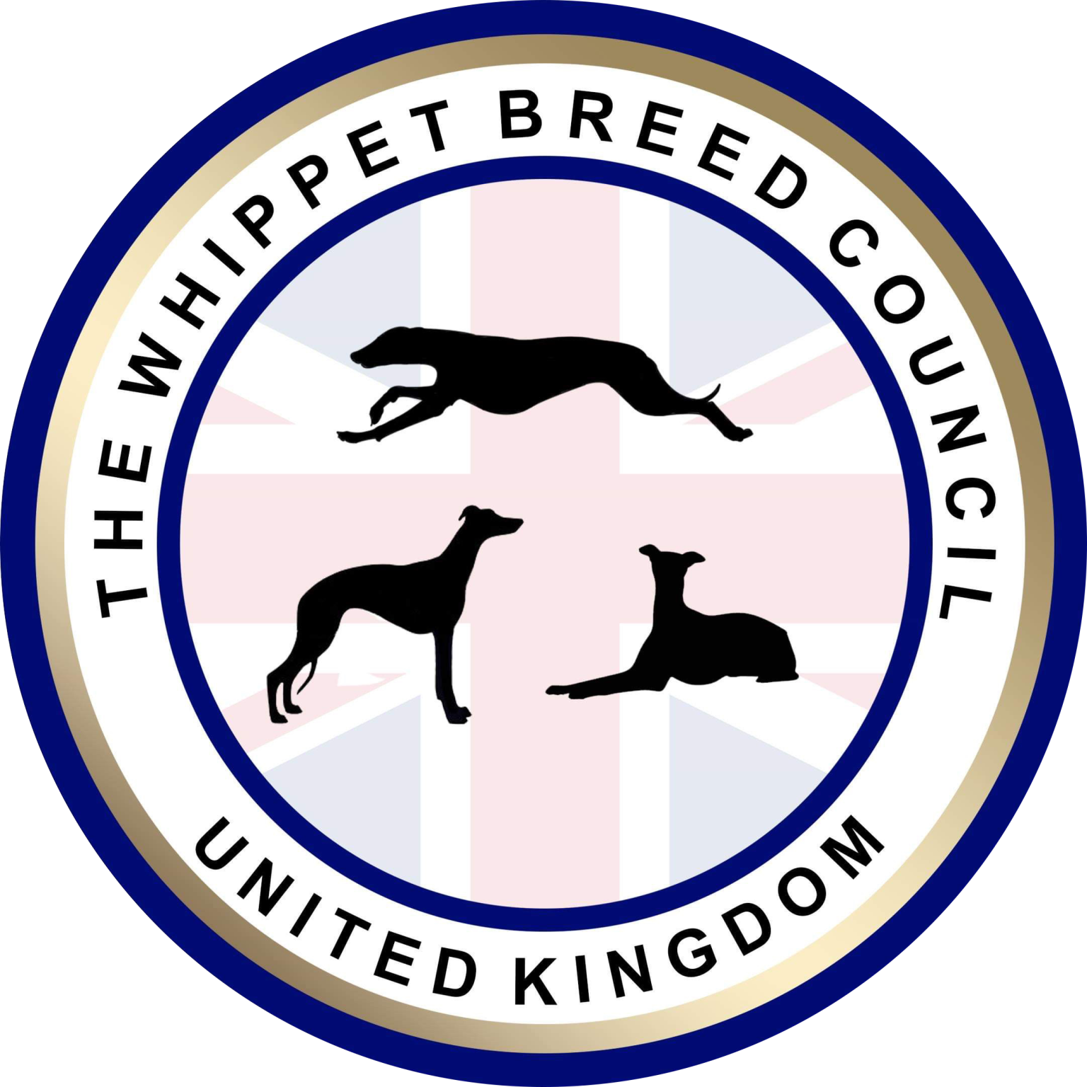 Uk Whippet Breed Council YouTube Livestreams - The Whippet Club